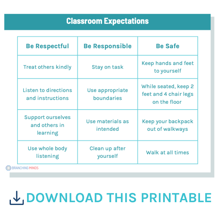 PBIS: More than Points and Parties