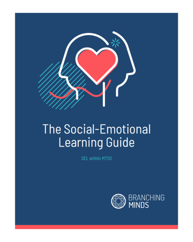 4 Common Questions on Integrating SEL & Behavior in MTSS