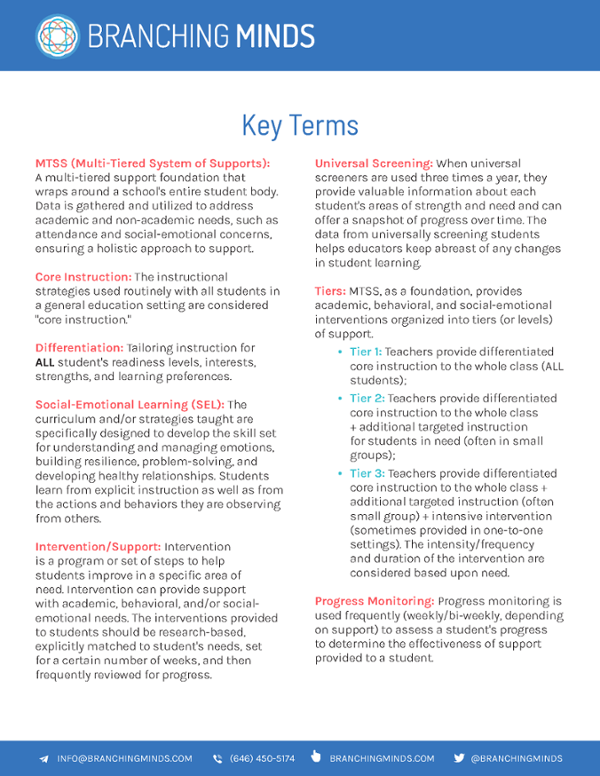 MTSS Intervention Process Flowchart