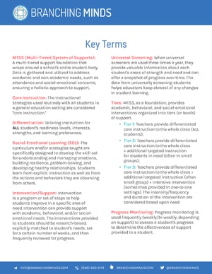 MTSS Intervention Process Flowchart