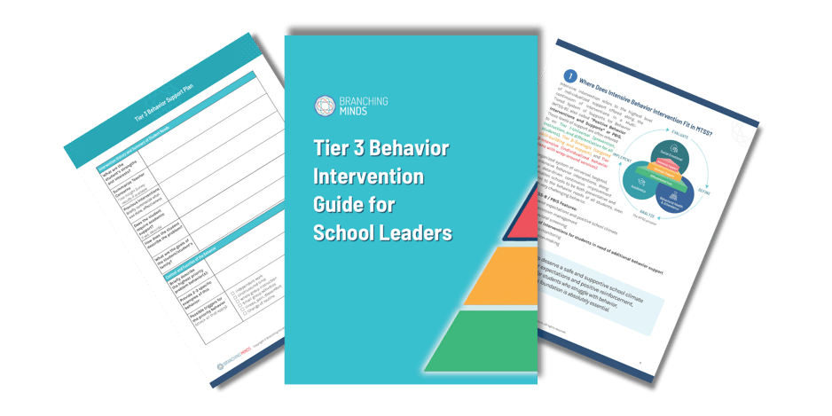 3 Reality Checks for Tier 3 Behavior Intervention