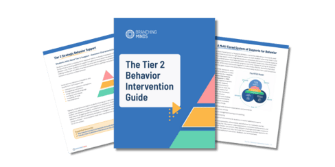 The MTSS Tier 2 Behavior Intervention Guide