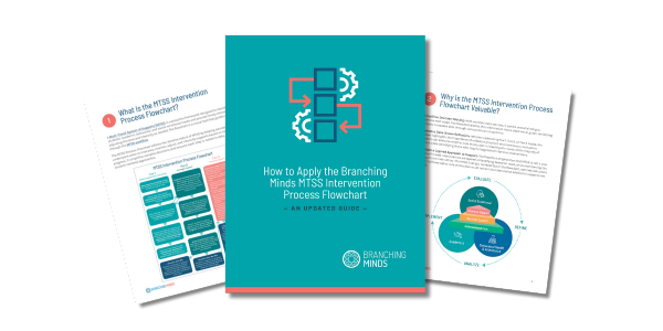 MTSS Intervention Process Flowchart - How to Guide
