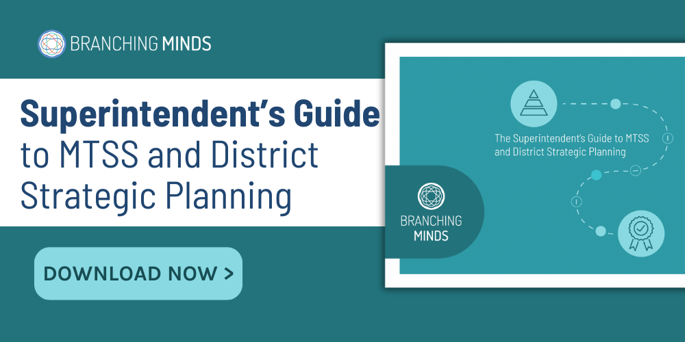 District Leader Guidance - Align Vision and Action With MTSS