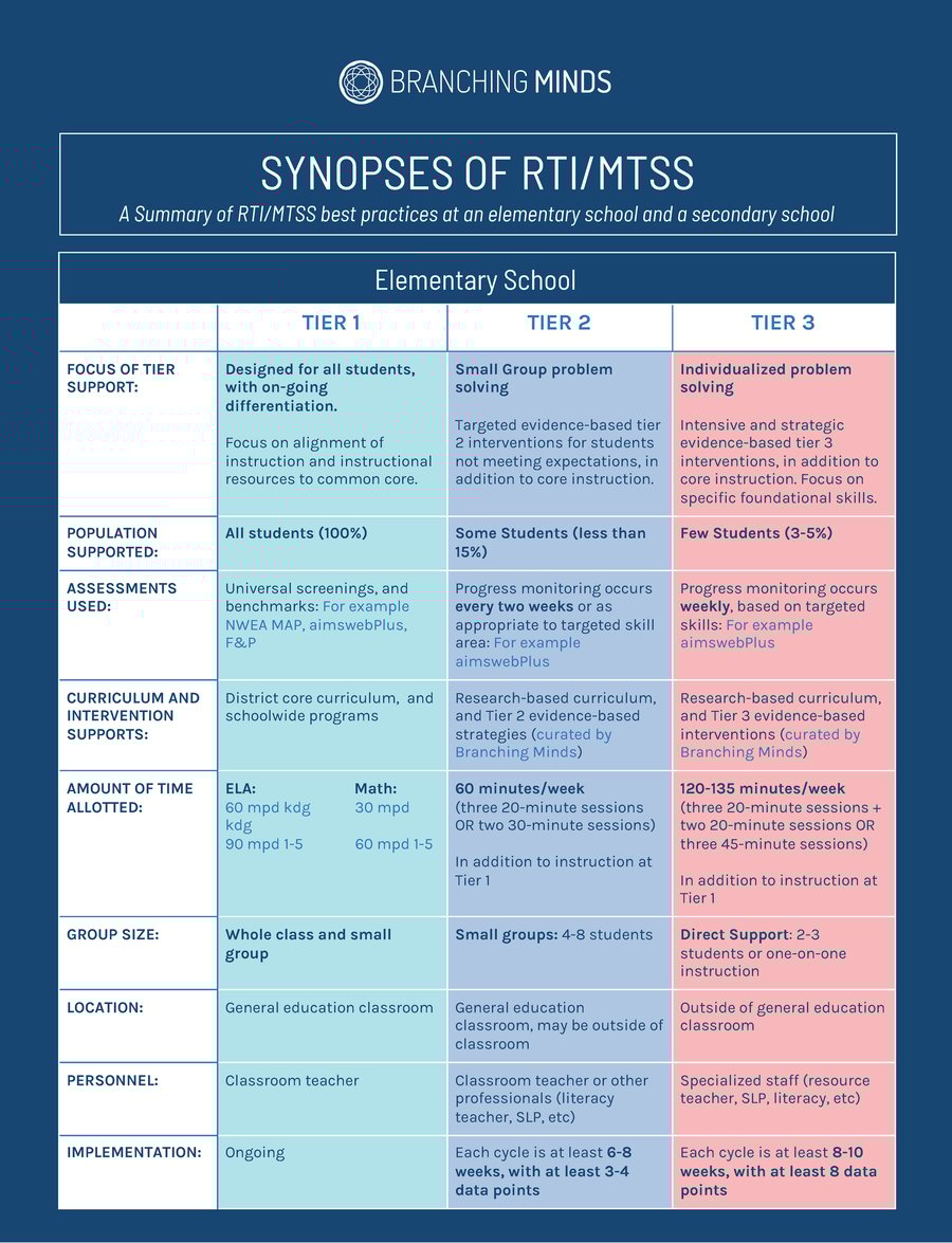 RTI/ MTSS Synopses for Elementary and Secondary School