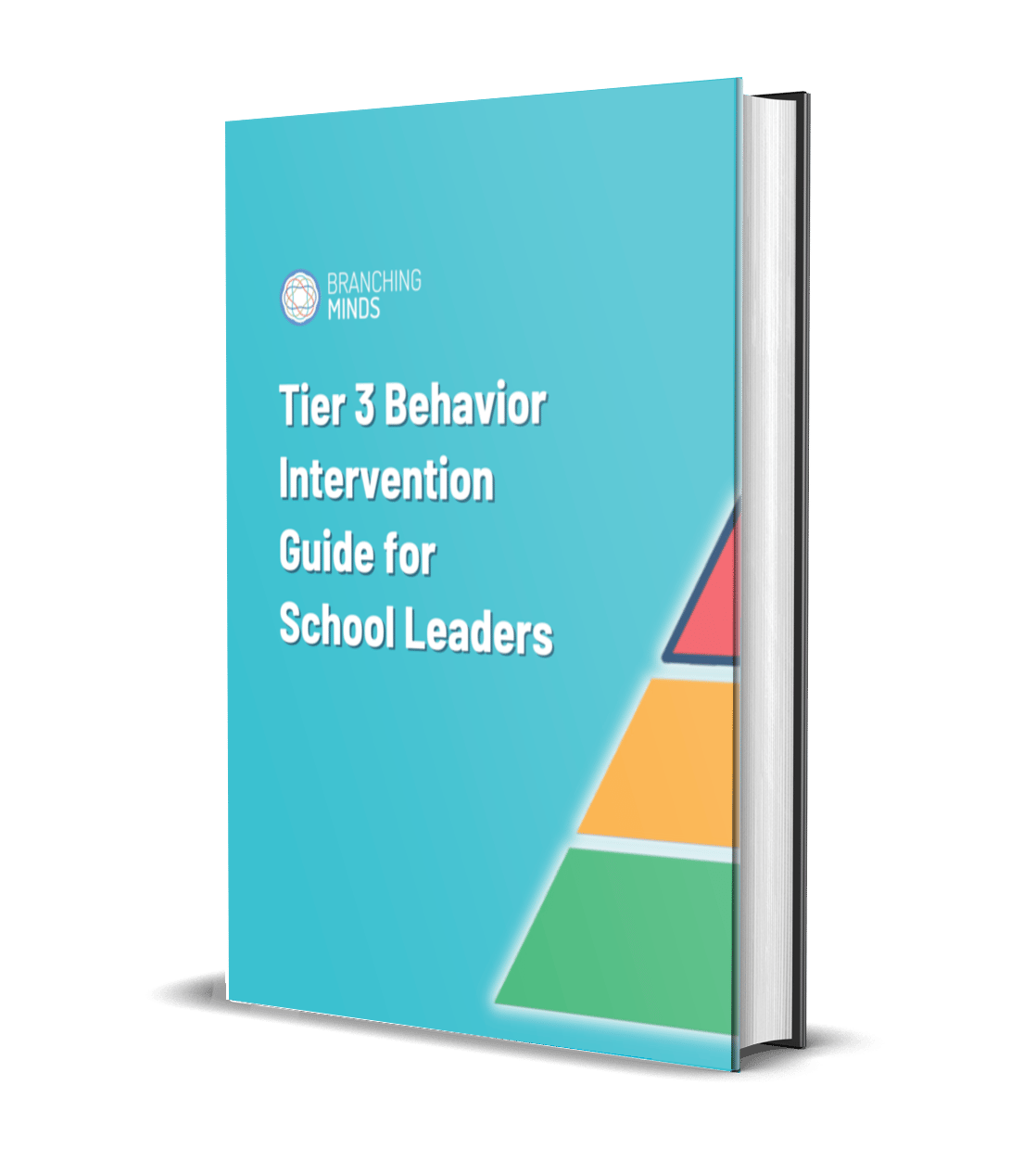 Tier 3 Behavior Intervention Guide for School and District Leaders