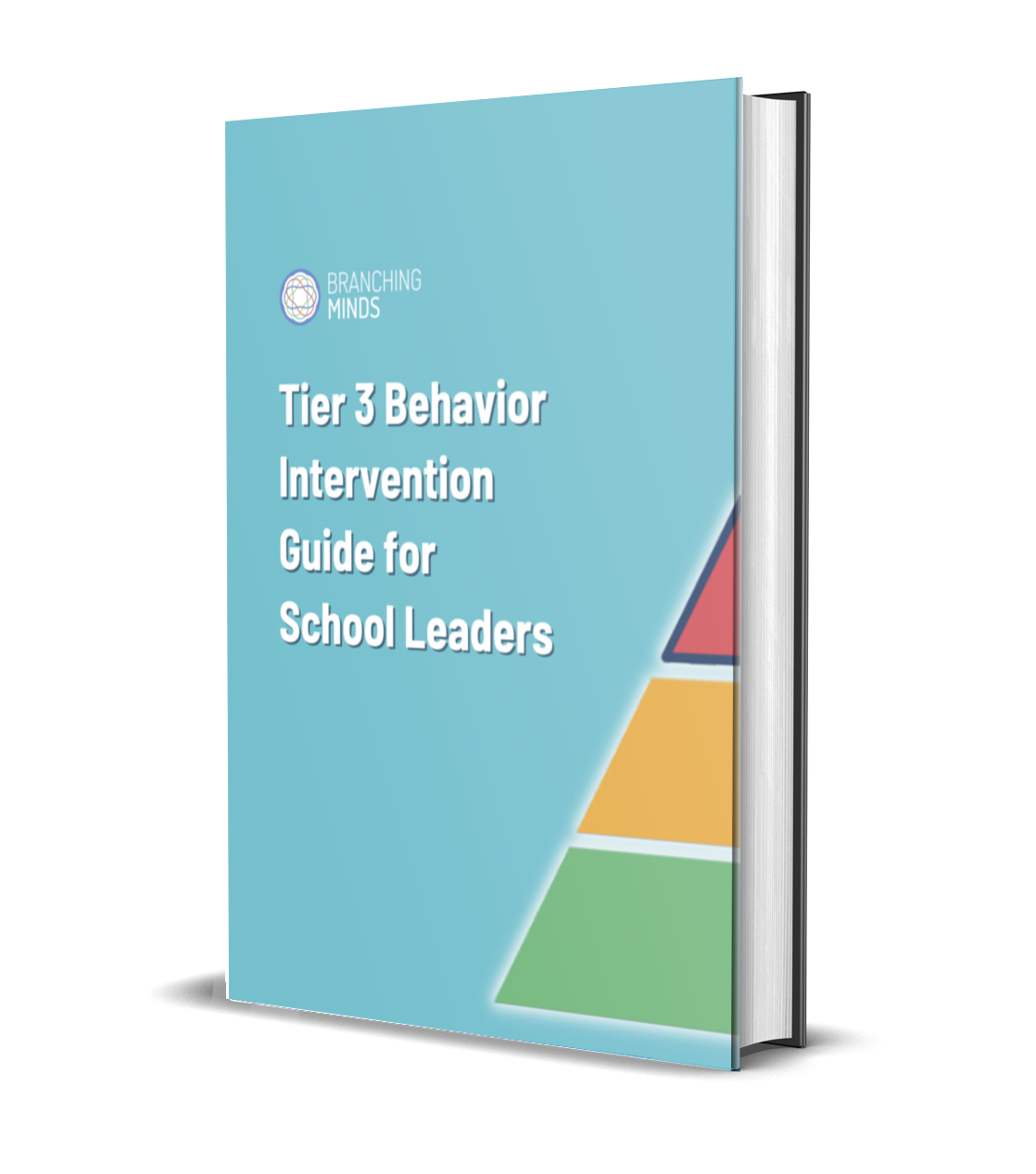 Tier 3 Behavior Intervention Guide for School and District Leaders