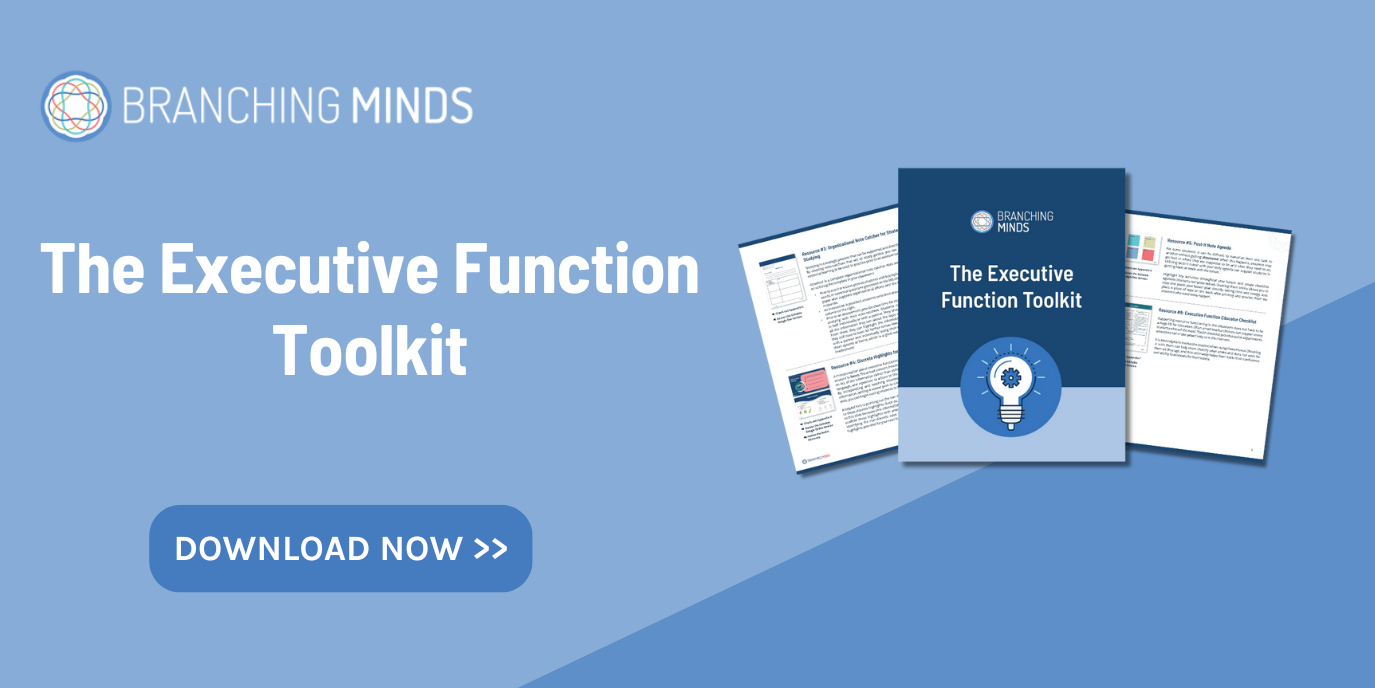 The Executive Function Toolkit [eBook]