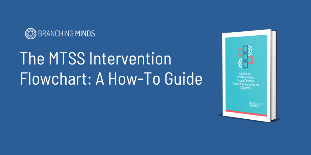 The MTSS Intervention Process Flowchart - A How-To Guide