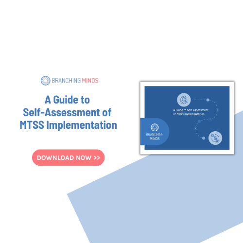 A Guide to Self-Assessment of MTSS Implementation
