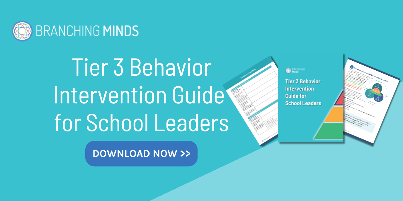 Tier 3 Behavior Intervention Guide for District and School Leaders