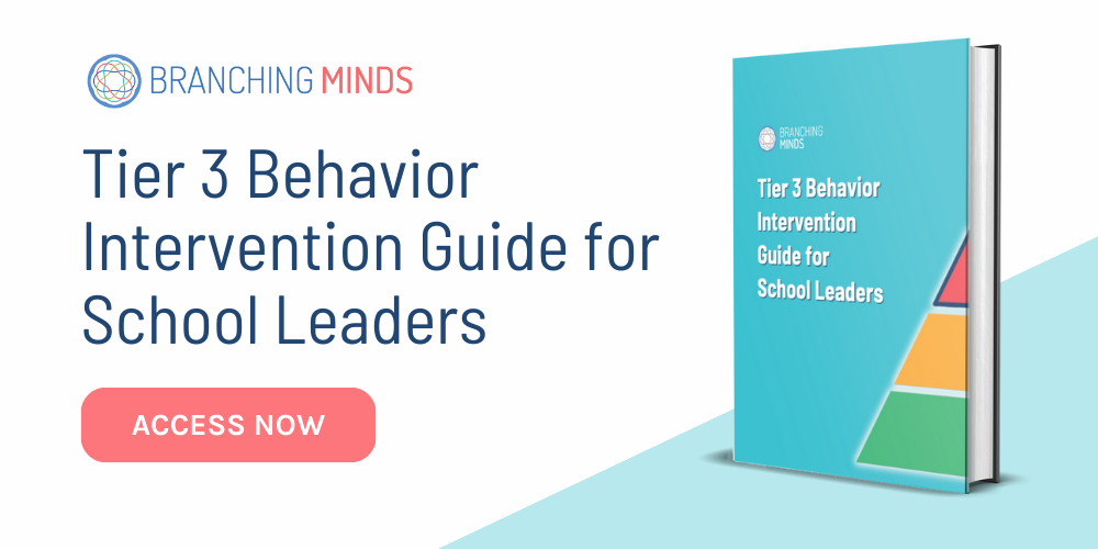Tier 3 Behavior Intervention Guide for School and District Leaders